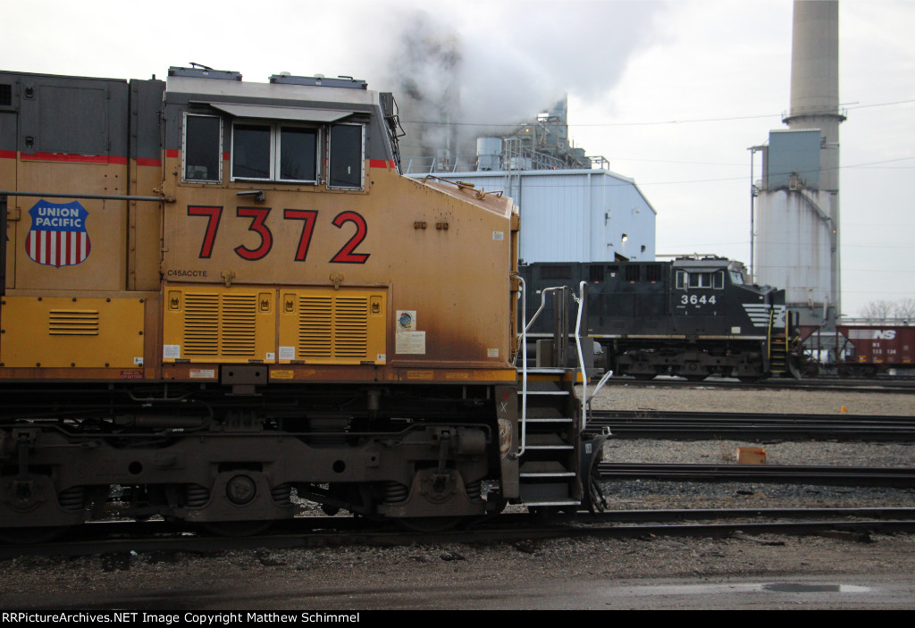 Black and Yellow GEs